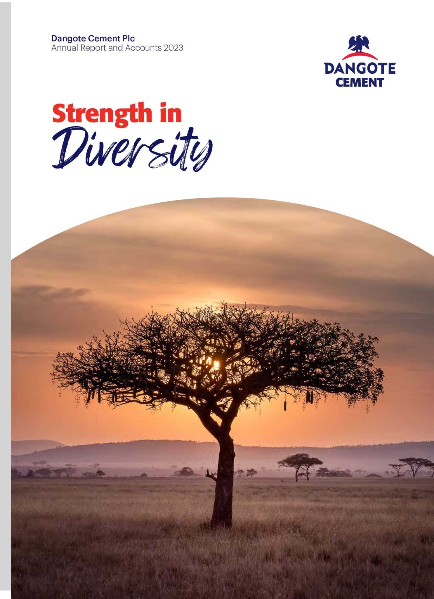Aliko Dangote Foundation – Empowering People. Strengthening Communities.